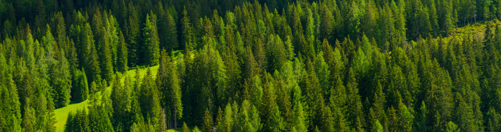 DISTRIBUTECH 2023: The Power of Green - Landis+Gyr